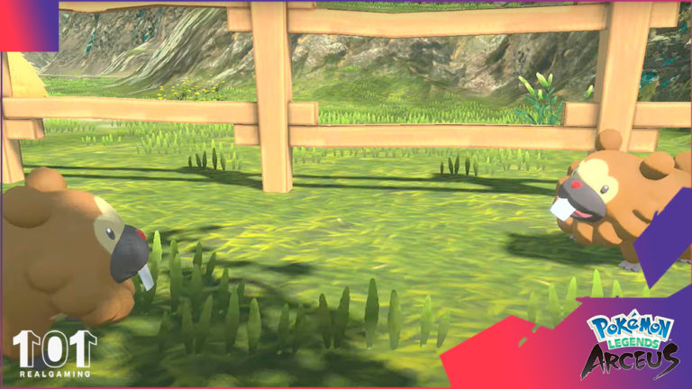 Pokémon Legends Arceus – Ubicaciones de los Bidoof desaparecidos | realgaming101.es