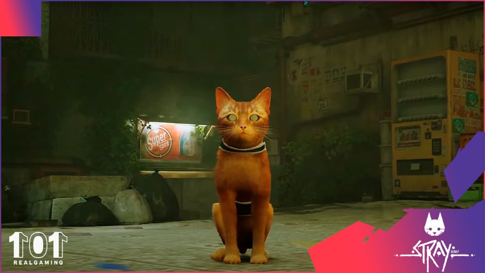 Stray - Requisitos mínimos y recomendados para la versión de PC ...