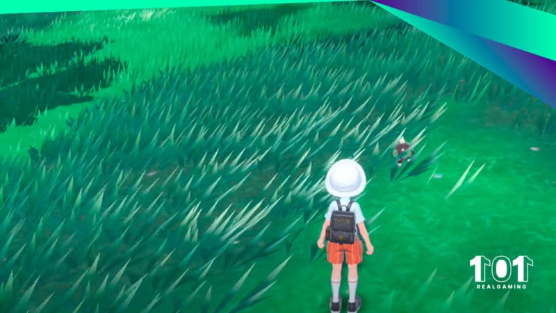 Pokémon Escarlata y Púrpura - Cómo capturar a Shroodle | realgaming101.es